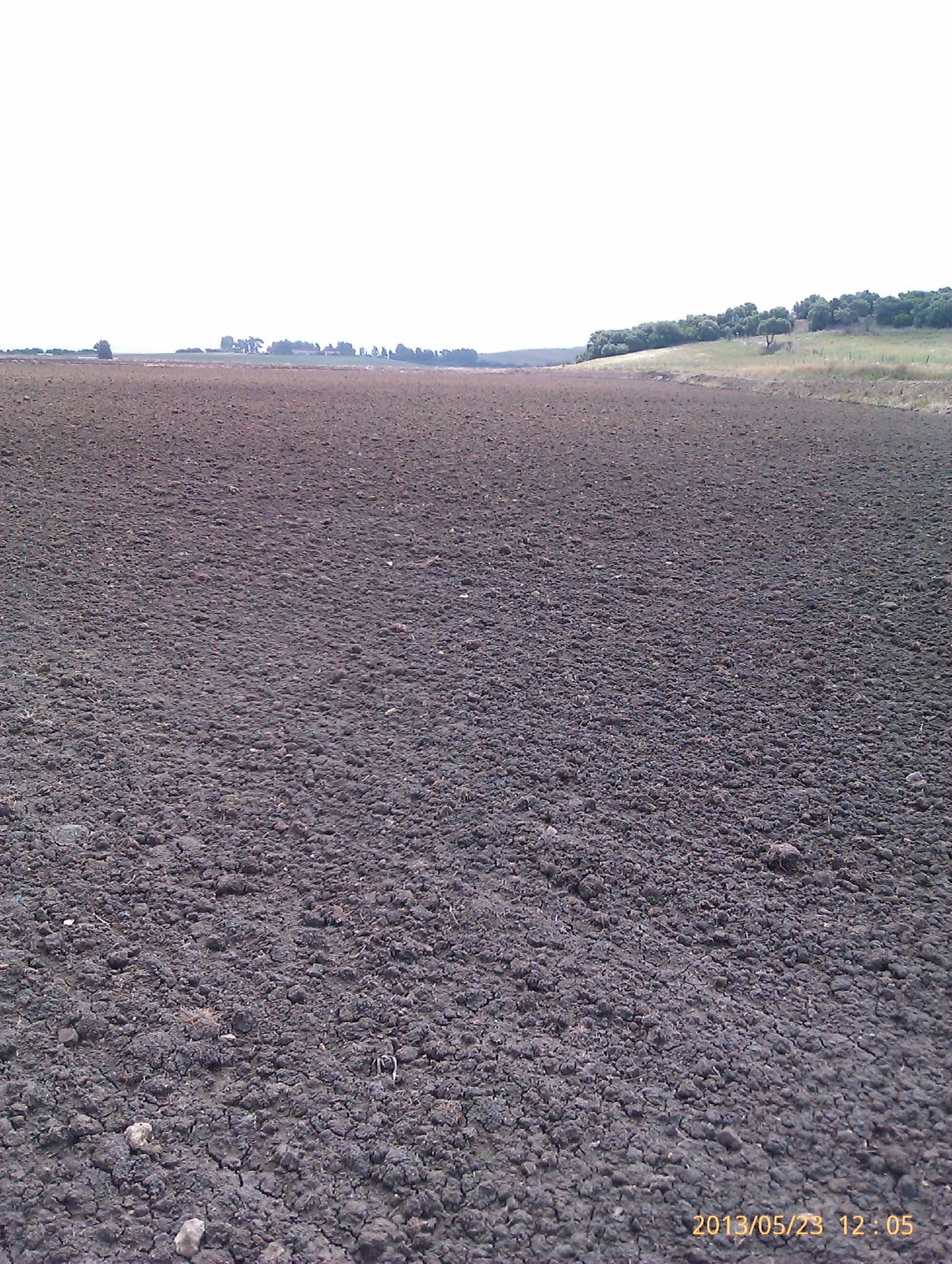 REPORTAJE FOTOGRÁFICO PARCELAS – Asaja Cádiz