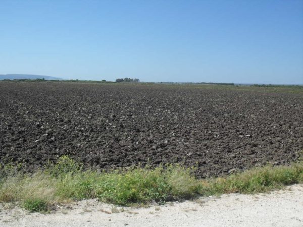 REPORTAJE FOTOGRÁFICO PARCELAS – Asaja Cádiz