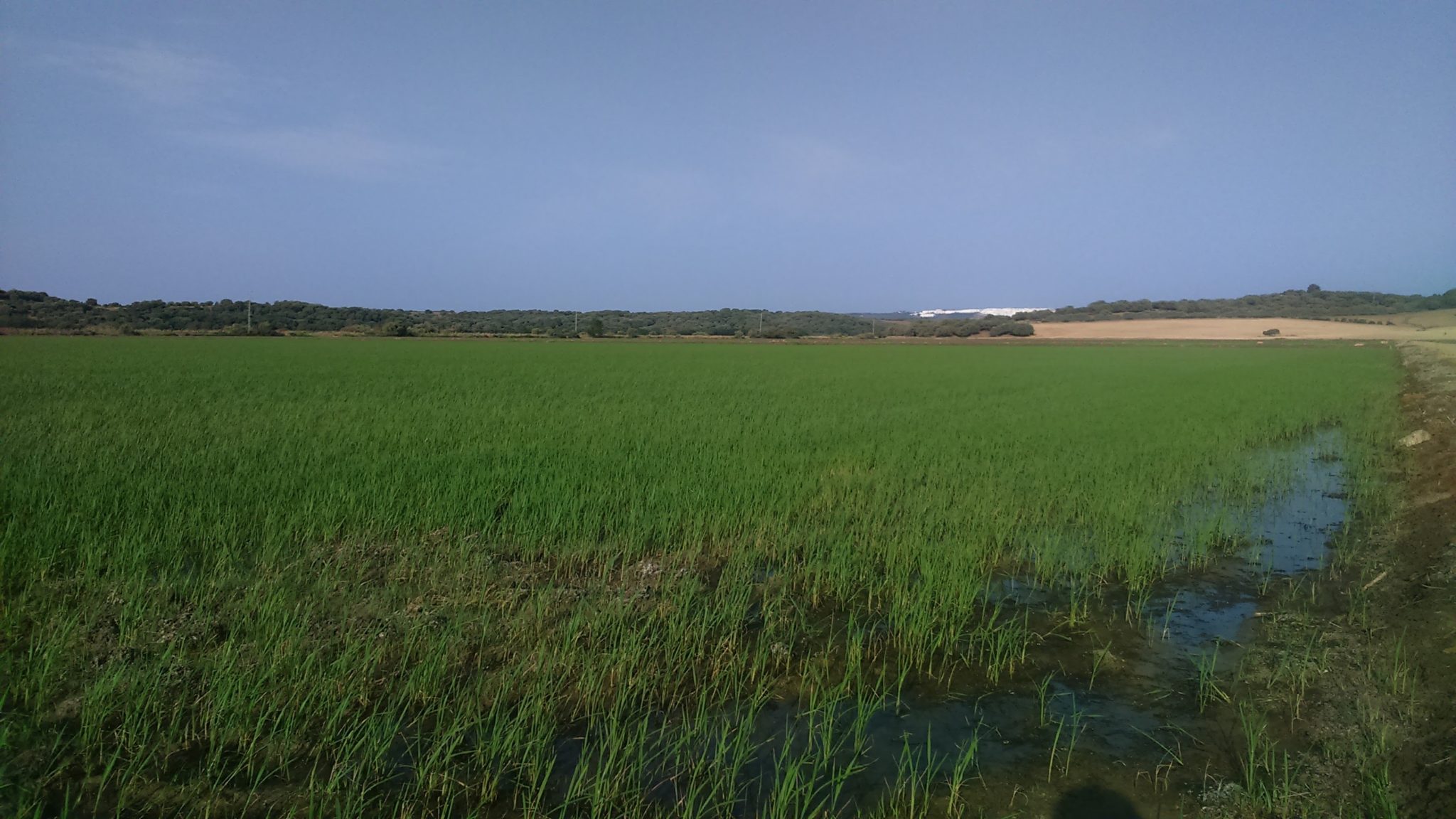 REPORTAJE FOTOGRÁFICO – Asaja Cádiz